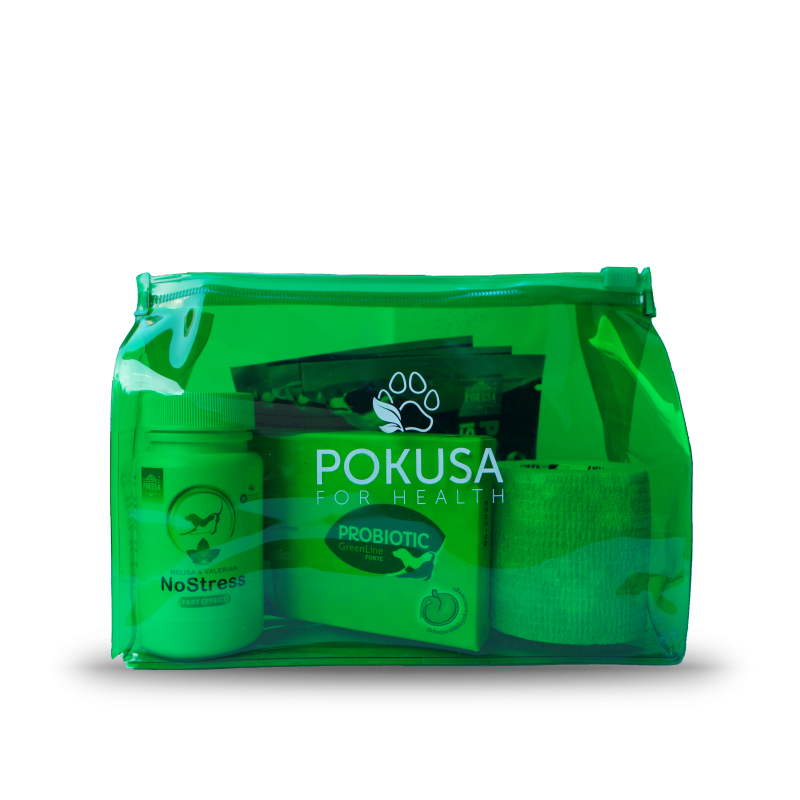 Apteczka dla psa Pokusa for health probiotyk | Bestomed